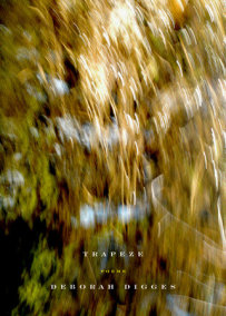 Warmth by Daniel Sherrell: 9780143136538 | PenguinRandomHouse.com: Books