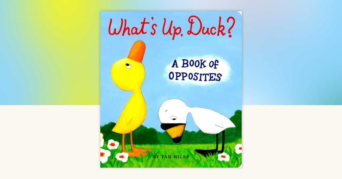 What's Up, Duck? by Tad Hills: 9780375847387 | PenguinRandomHouse.com ...