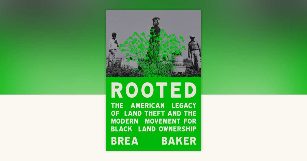 Rooted by Brea Baker: 9780593447376 | PenguinRandomHouse.com: Books