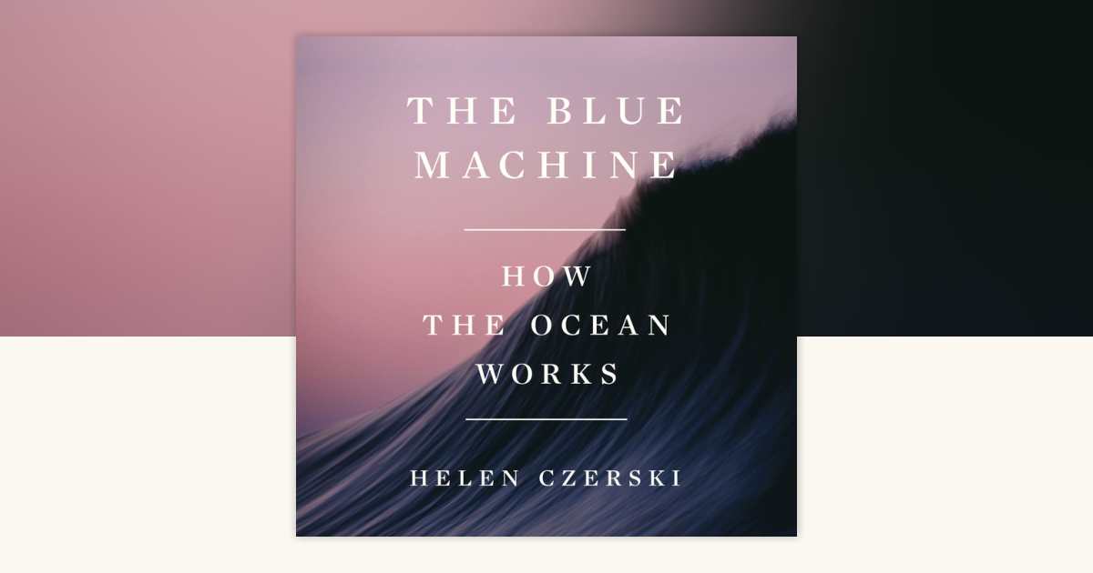 The Blue Machine by Helen Czerski: 9780593860960 | PenguinRandomHouse ...