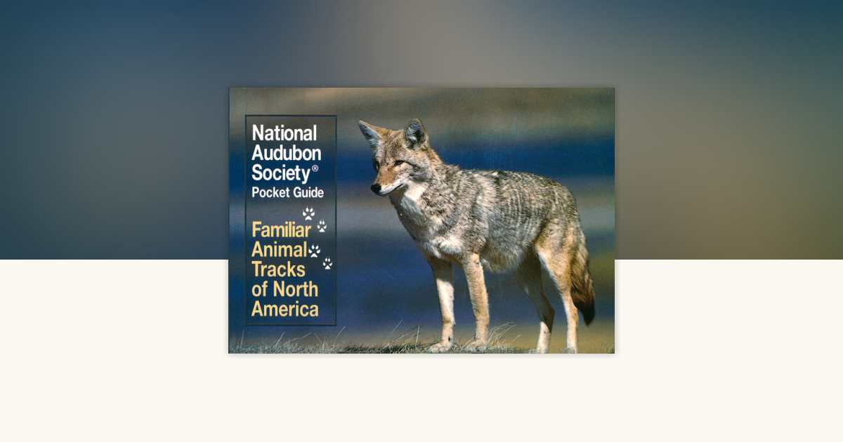 National Audubon Society Pocket Guide: Familiar Animal Tracks of North ...