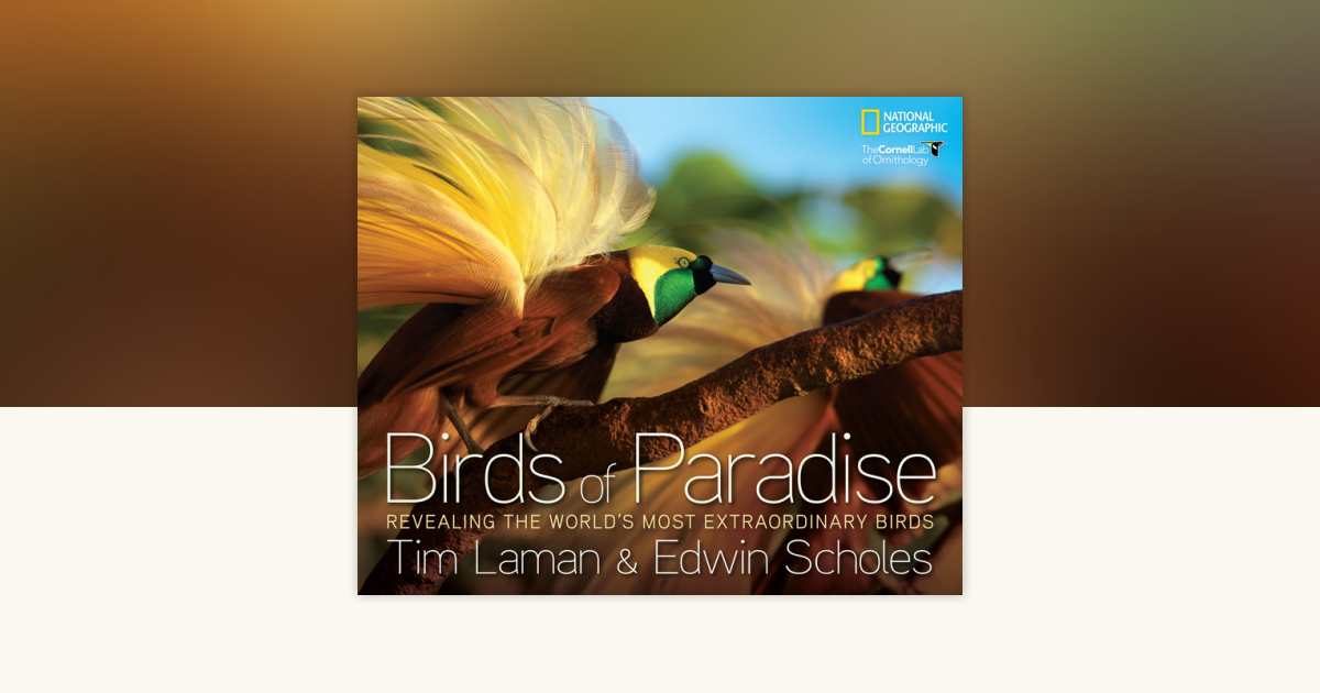 Birds of Paradise by Tim Laman: 9781426209581 | PenguinRandomHouse.com ...