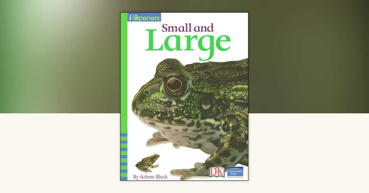 iOpener: Small and Large by Arlene Block: 9781465447821 ...