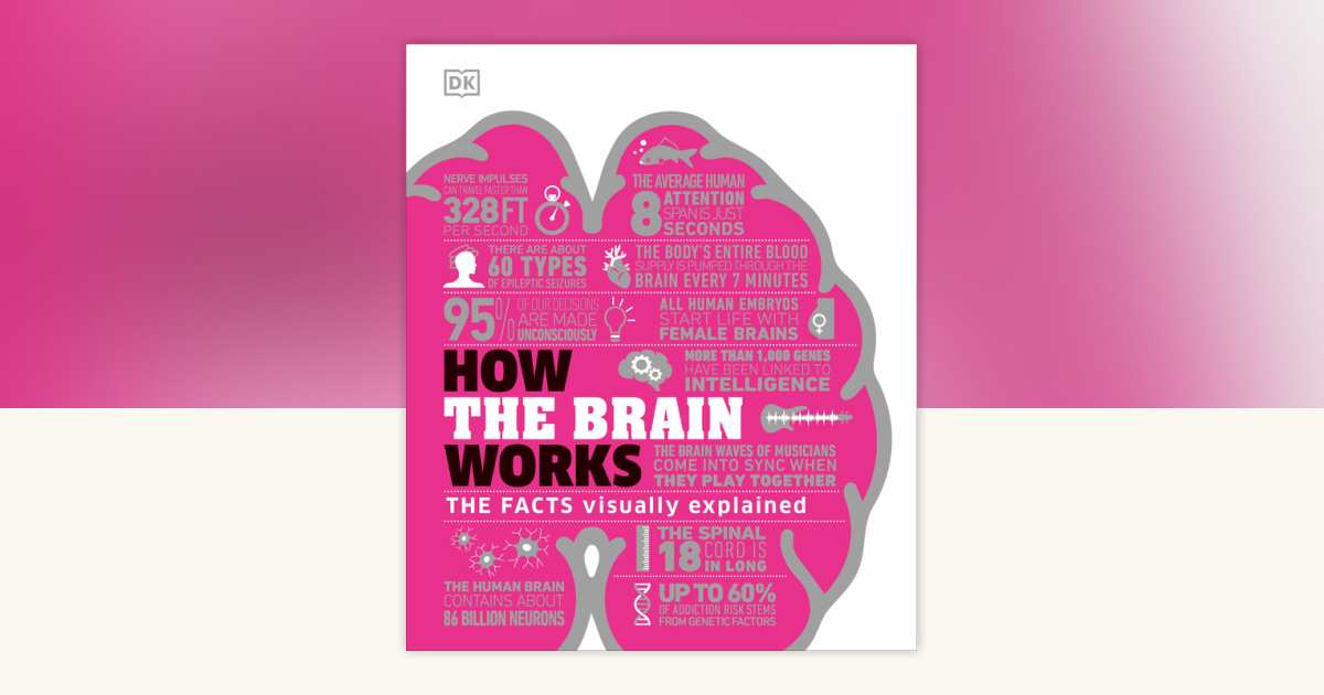 How the Brain Works by DK: 9781465489791 | PenguinRandomHouse.com: Books