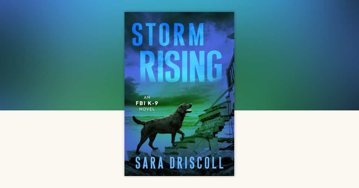 Storm Rising by Sara Driscoll: 9781496754349 | PenguinRandomHouse.com ...