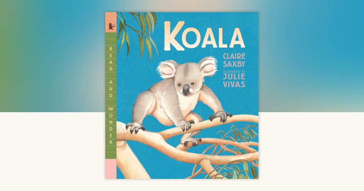 Koala by Claire Saxby: 9781536208962 | PenguinRandomHouse.com: Books