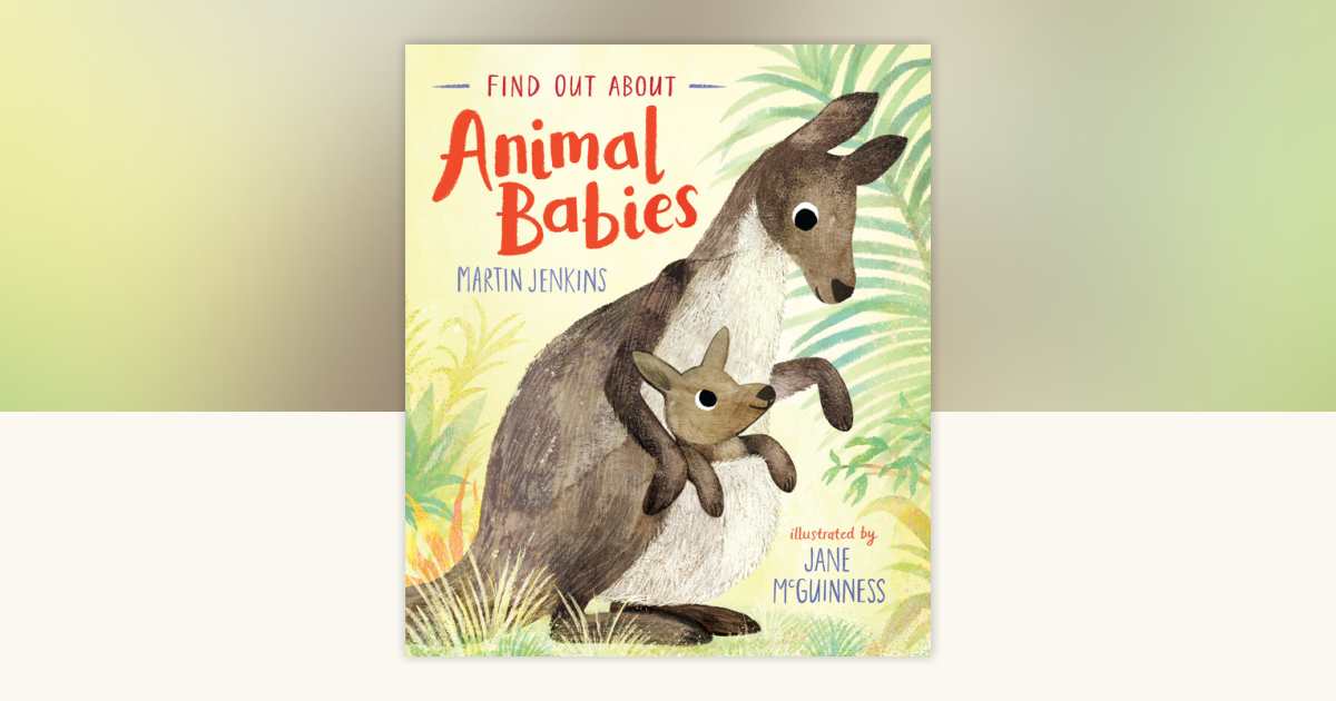Find Out About Animal Babies by Martin Jenkins: 9781536220469 ...