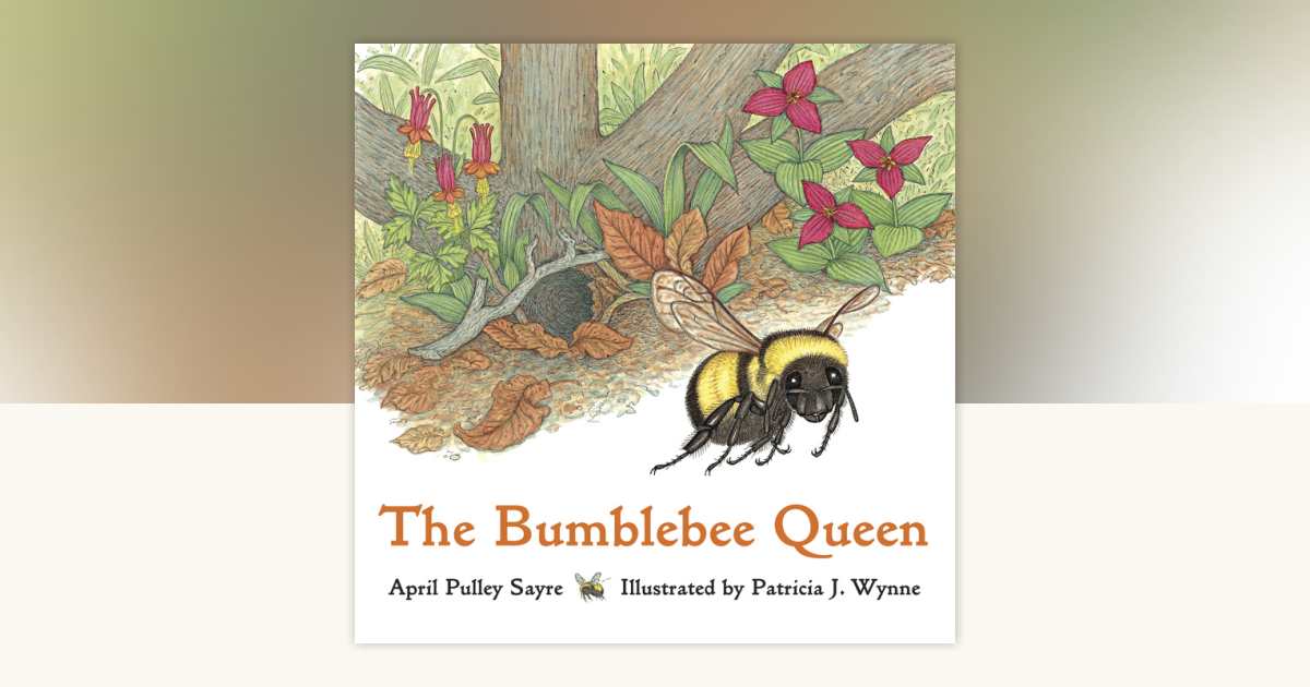 The Bumblebee Queen by April Pulley Sayre: 9781570913631 ...