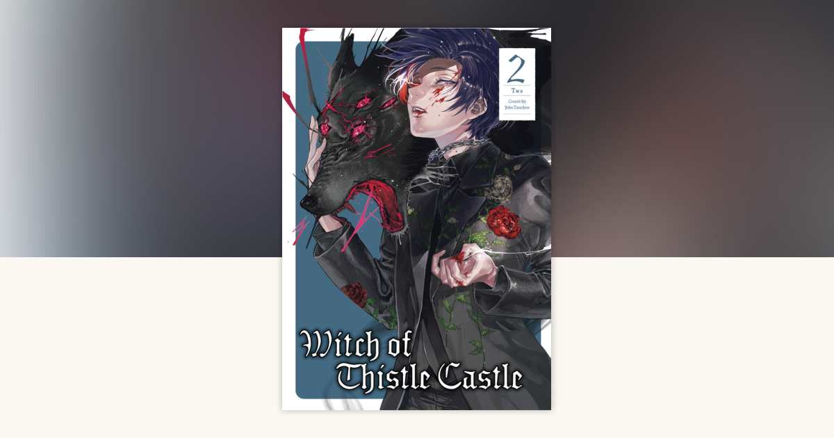 Witch of Thistle Castle Vol.2 by John Tarachine: 9781787741423 ...