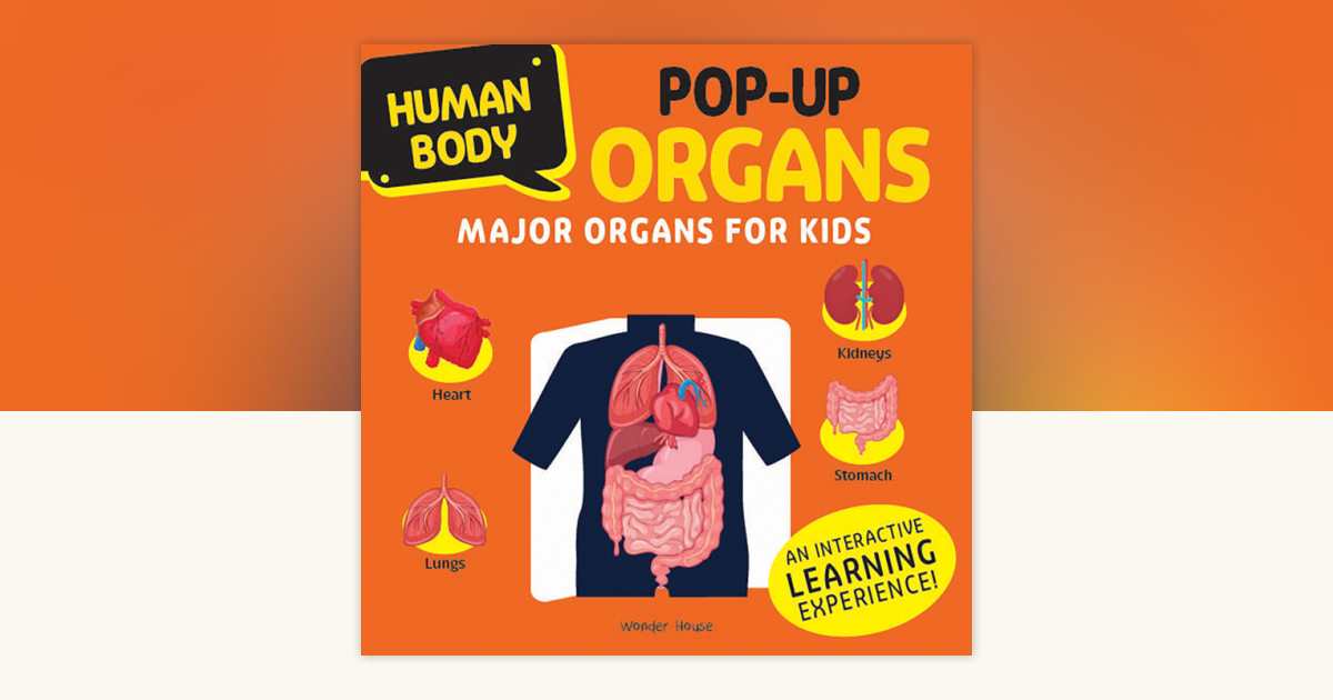 Human Body Pop-up ORGANS Major organs for Kids by Wonder House Books ...